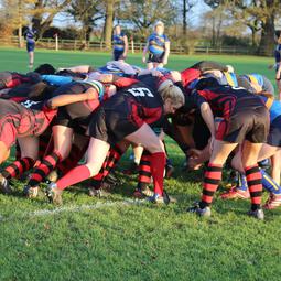 Anne-Marie Howe crowdfunding with University of Essex